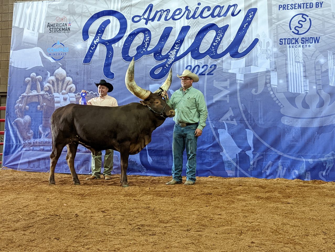 World Watusi Association | The World Watusi Association is a non-profit ...