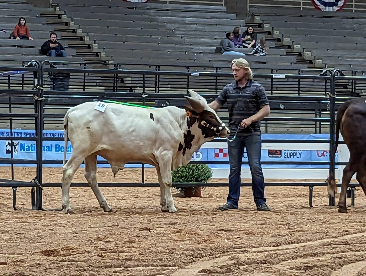 World Watusi Association | The World Watusi Association is a non-profit ...